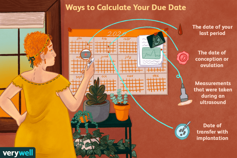 Conception Due Date Calculator Reverse Paint Color Ideas Conception Due Date Calculator Reverse Paint Color Ideas