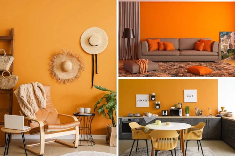 What Colour Goes Well With Beige - Paint Color Ideas